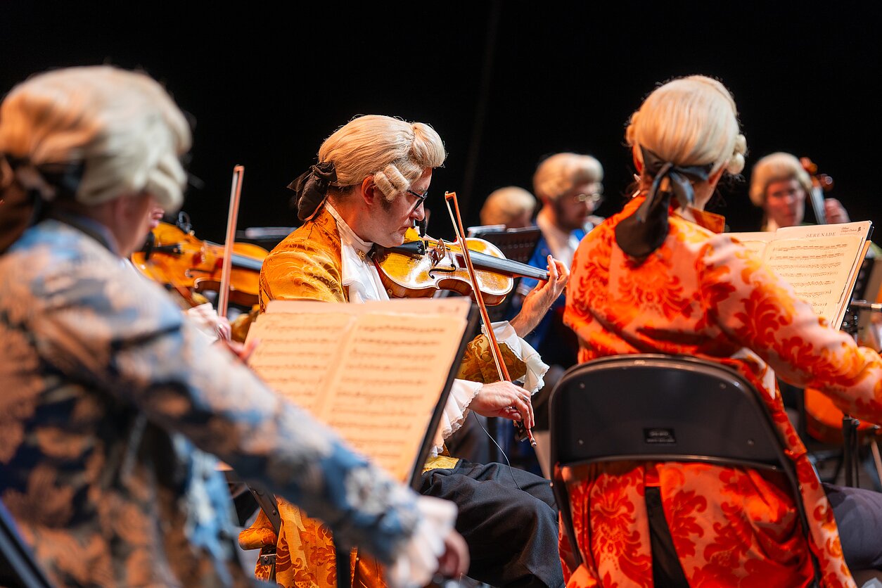 Ieva Dūdaitė will assist the Vienna Mozart Orchestra - palangosks.lt